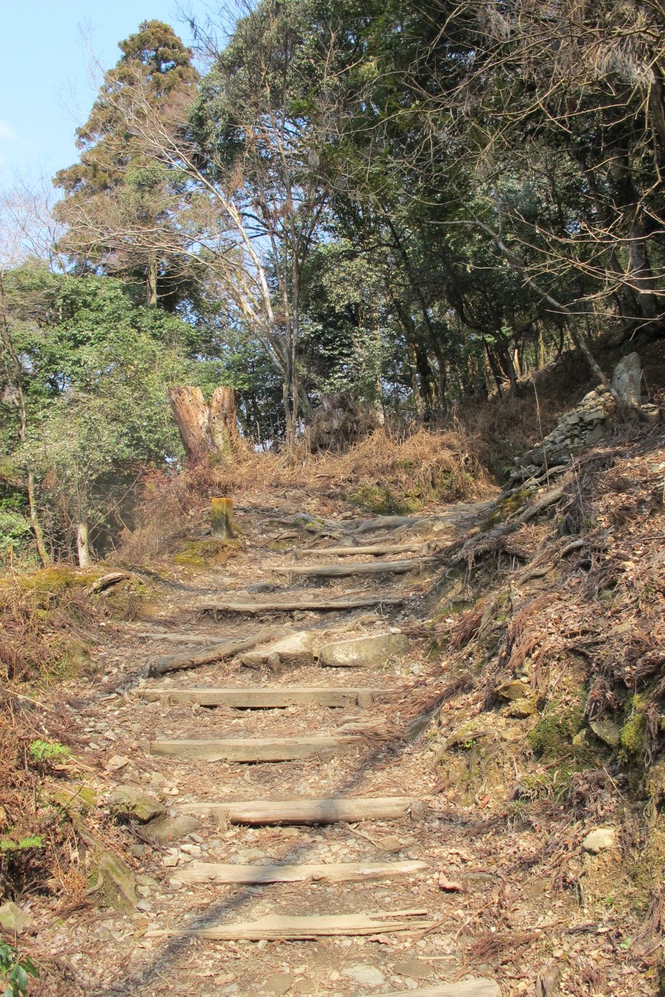 Steeplyup from Kibune.